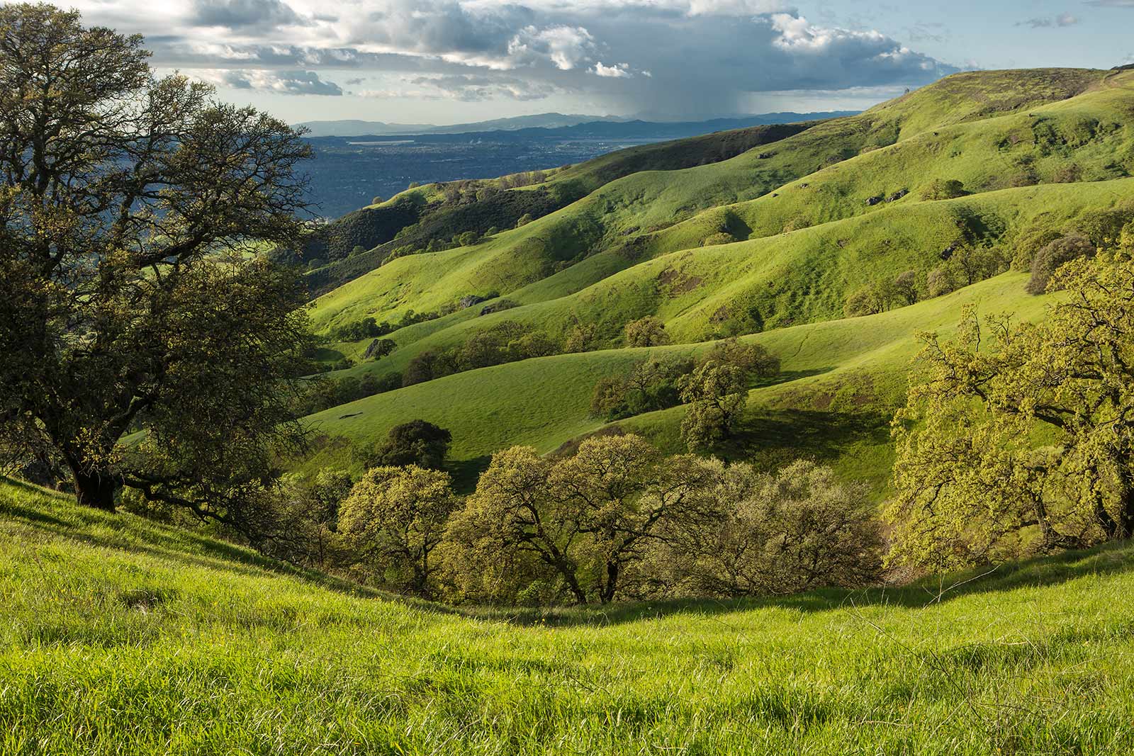 Steve & Christine Perry Real Estate Buyer Specialist